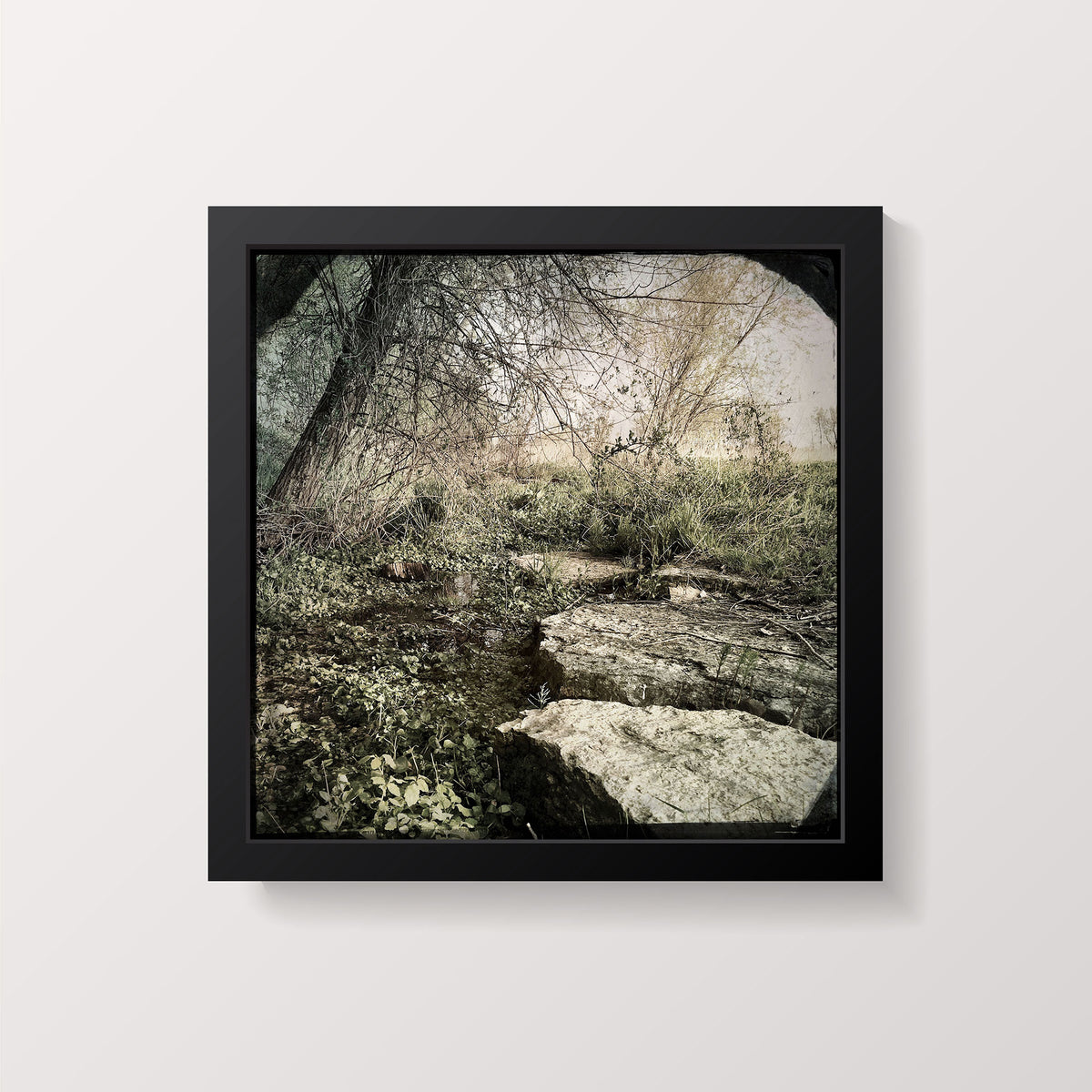 Bruce Vento Nature Sanctuary. 04-28-2017 6:52 PM (Saint Paul, Minnesot ...