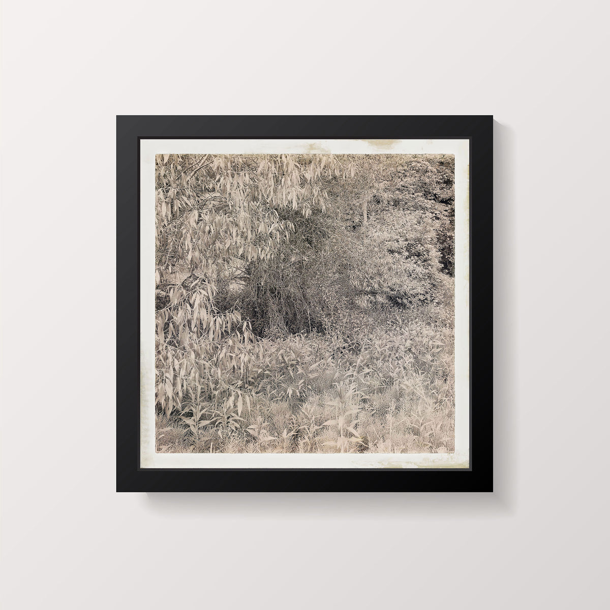 Bruce Vento Nature Sanctuary. 05-26-2017 7:11 PM (Saint Paul, Minnesot ...