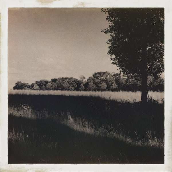 Bruce Vento Nature Sanctuary. 05-26-2017 7:11 PM (Saint Paul, Minnesot ...